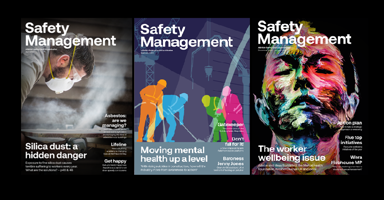 Five Star Process Safety Audit | British Safety Council India